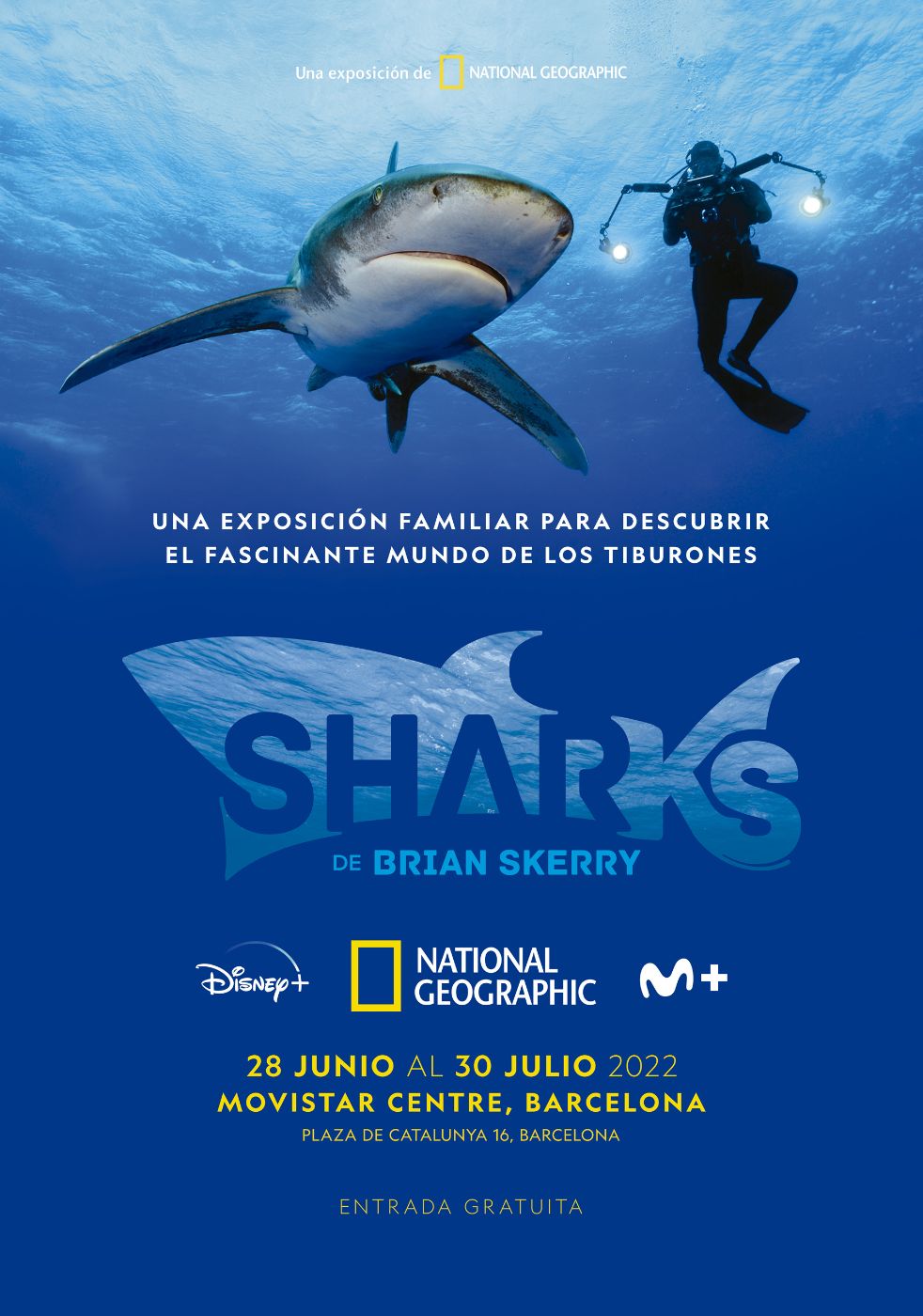 LLEGA A BARCELONA LA EXPOSICIÓN SHARKS DE BRIAN SKERRY” DE NATIONAL ...